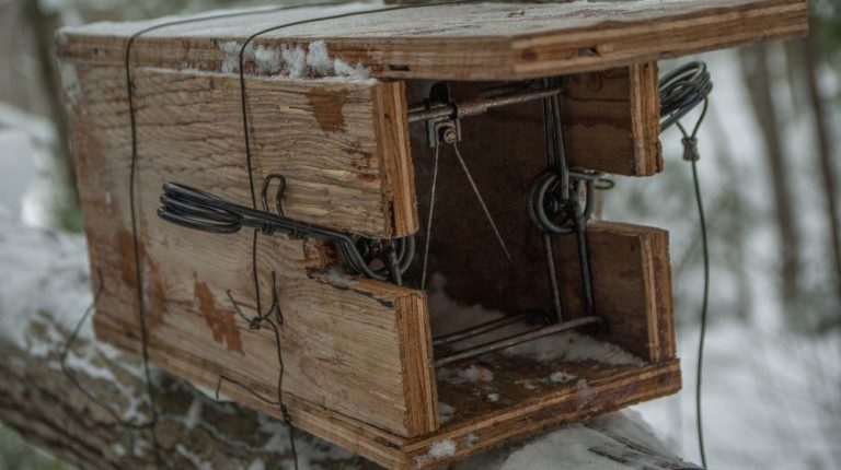 Sneaky Hunting Traps For The Stealthy Hunter | Outdoor Warrior