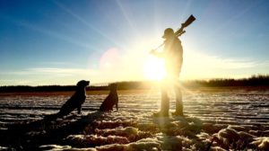 [WATCH THIS] The Most Thrilling Lone Wolf Hunting Ever Recorded ...